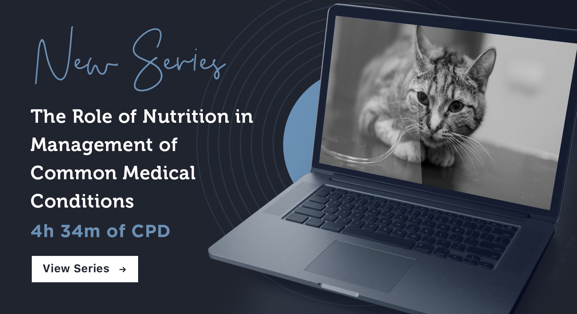 Centralcpd on-demand