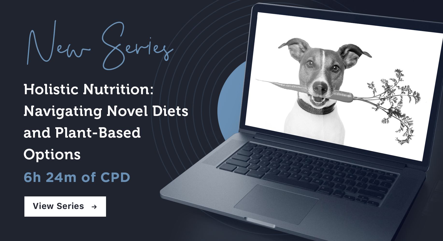 Centralcpd on-demand