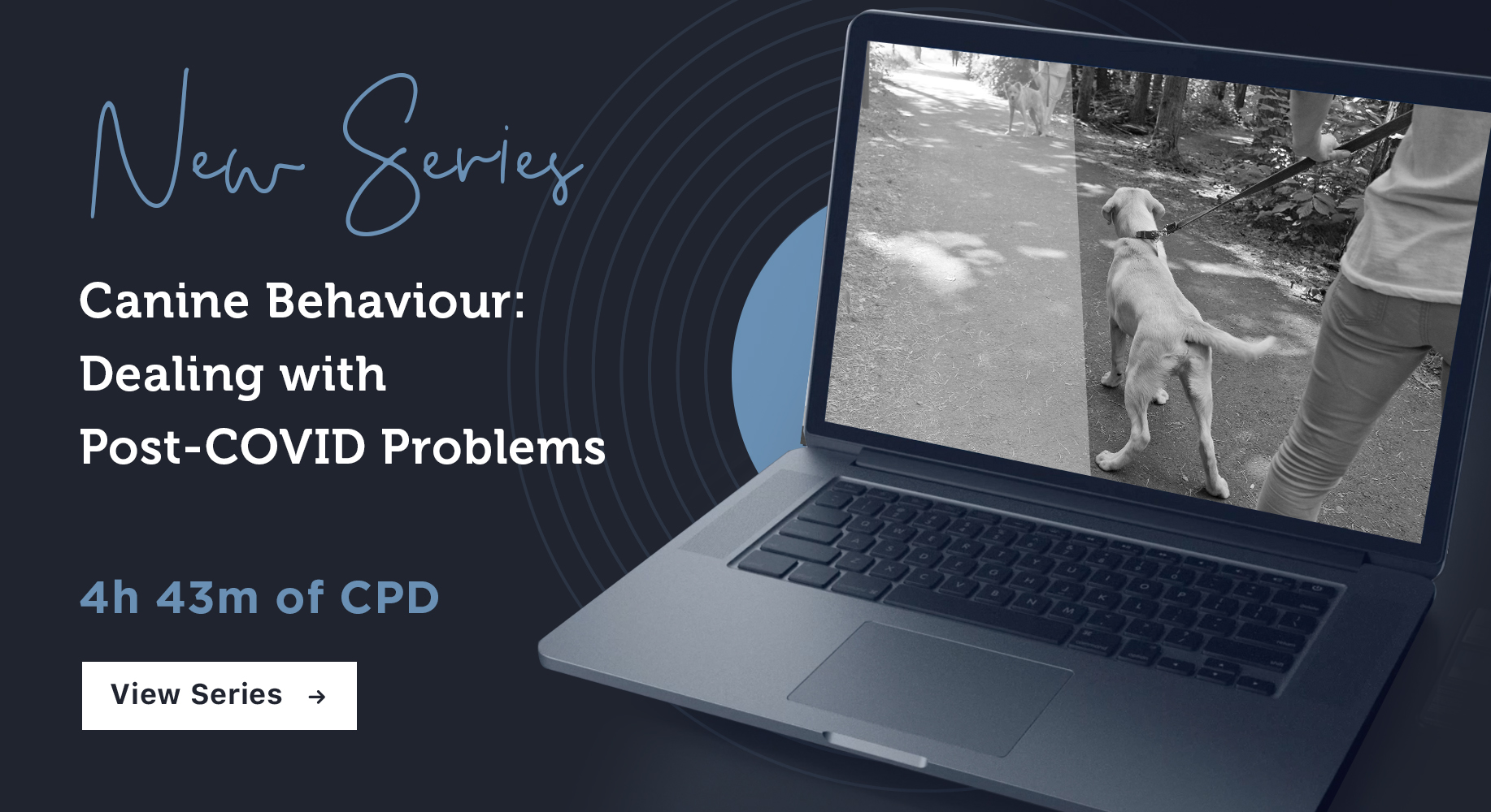 Centralcpd on-demand