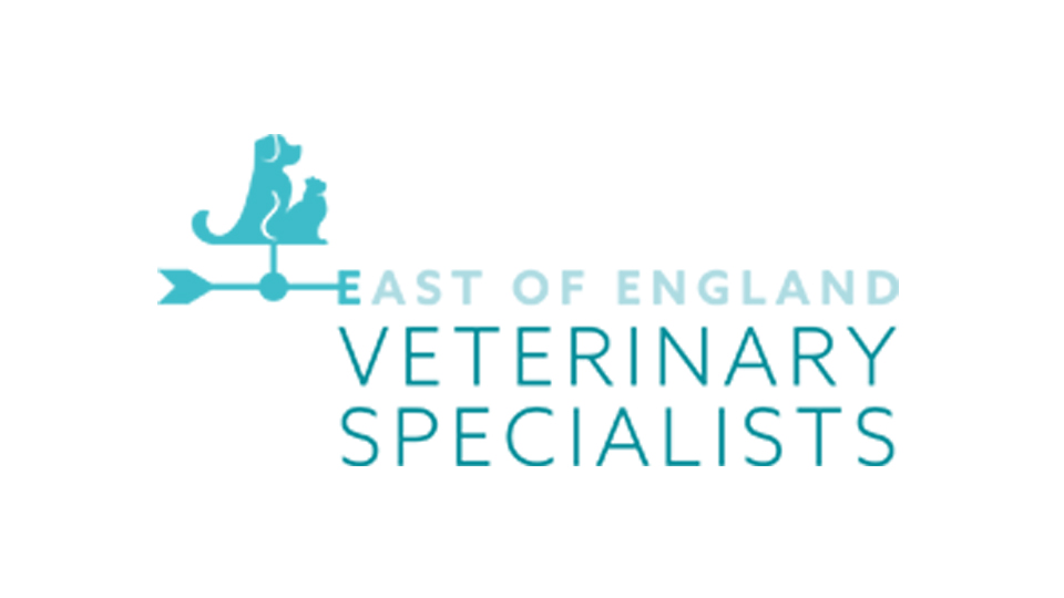 Centralcpd on-demand