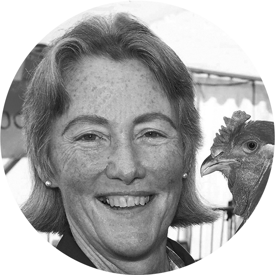 Centralcpd on-demand